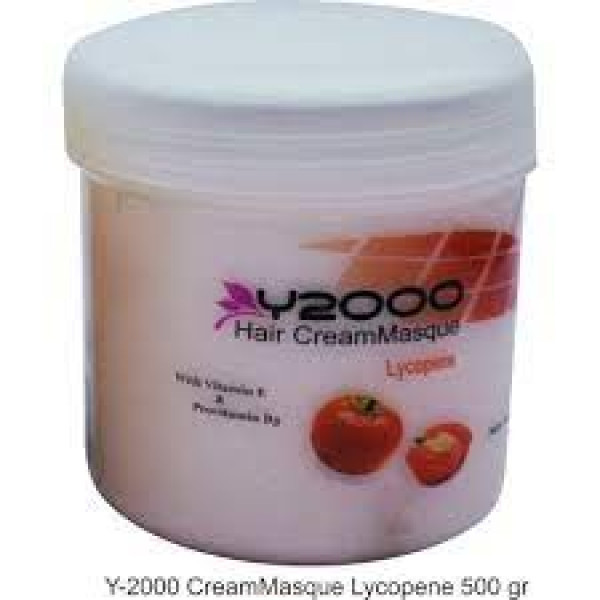 Dutalia - Y2000 HAIR MASQ LYCOP 500 G